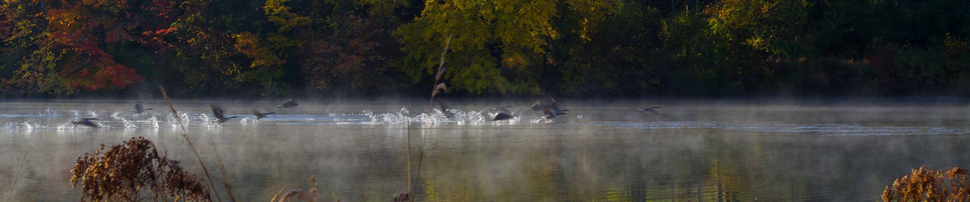 Contact Us | Brookrace