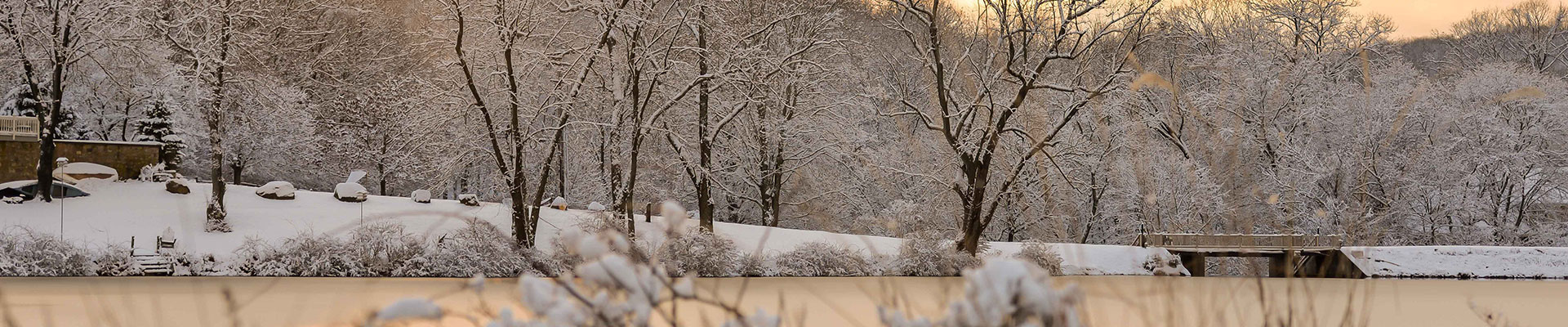 Contact Us | Brookrace